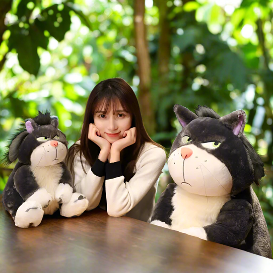 Side Eye Cat – Aprasi